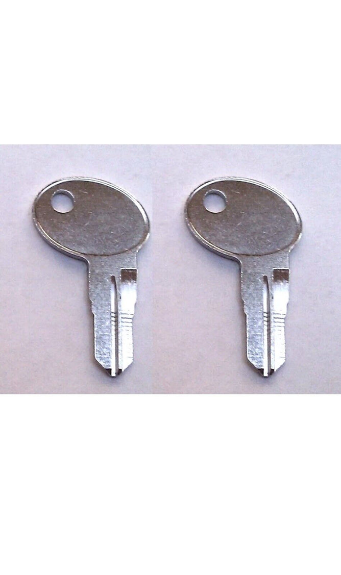 (2) Bauer RV Keys Cut to Key Codes AE001-AE010 MotorHome Travel Traile