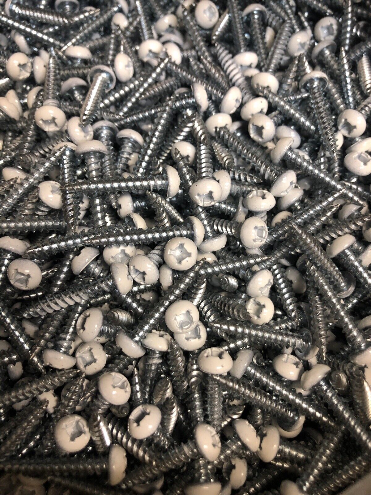 8x1" Pan Head Metal RV Screws Polar White 100 Pack Factory Finish Free